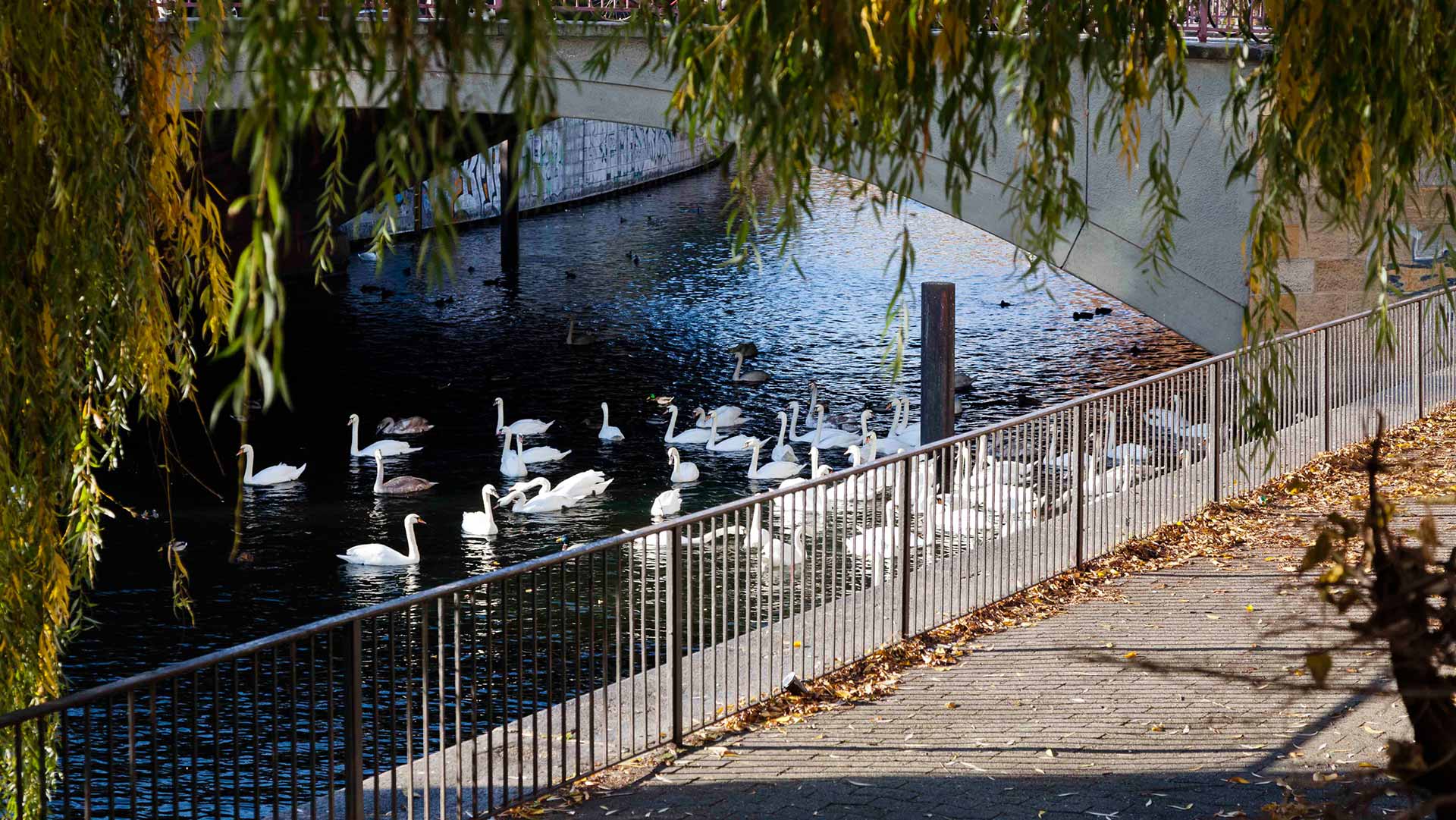 SPINDLER Restaurant Berlin - Brasserie Restaurant Berlin-Kreuzberg